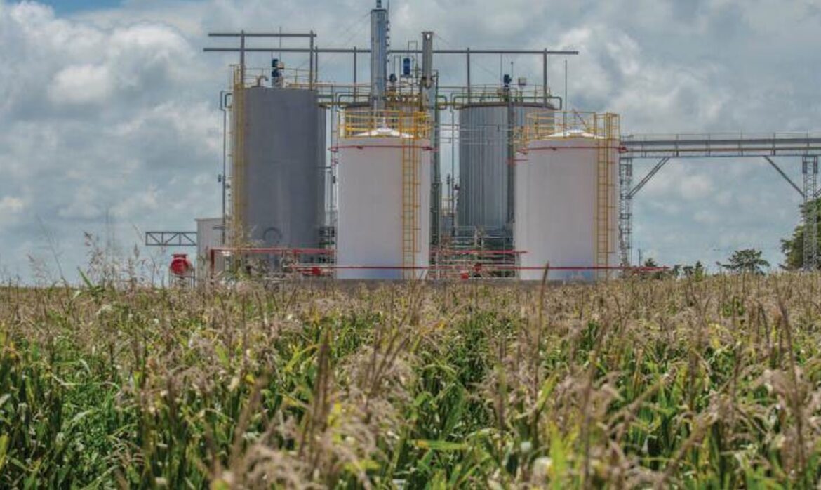 Porta Hnos bioetanol: montará planta de etanol de sociedad Granosol ...